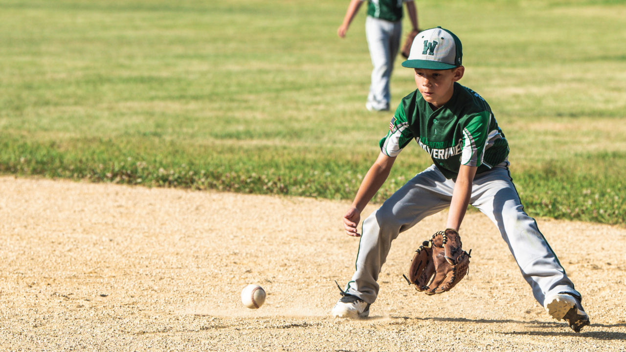 About Baseball | Waterford Jr. Wolverines